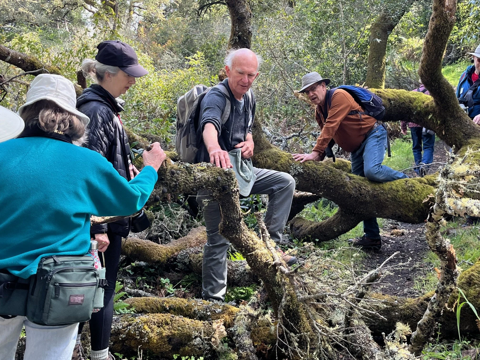 Point Reyes Birding & Nature Festival