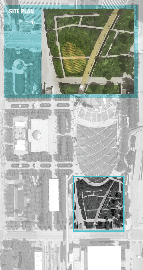 Sense[Ability] — Noah's Architecture