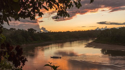 Refugio Amazonas Rainforest Lodge | Tambopata, Madre de Dios | Canopy ...