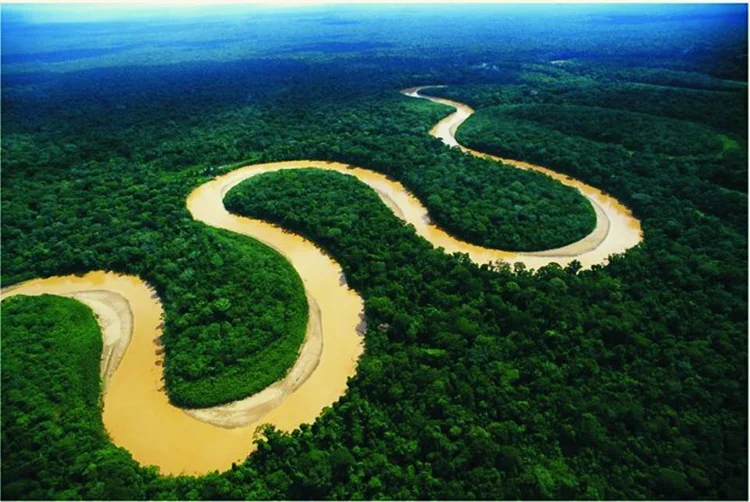 Amazon Rainforest | Unparalleled Biodiversity | Pacaya-Samiria, Tahuayo ...