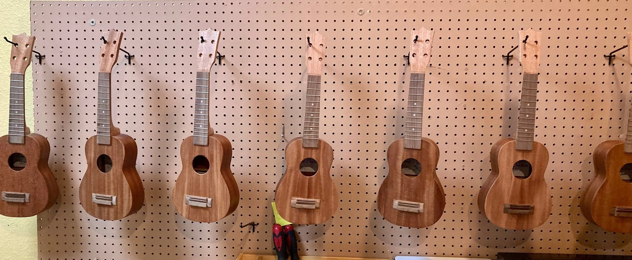 The Guitarist — Santa Clara Ukulele Summer Camp