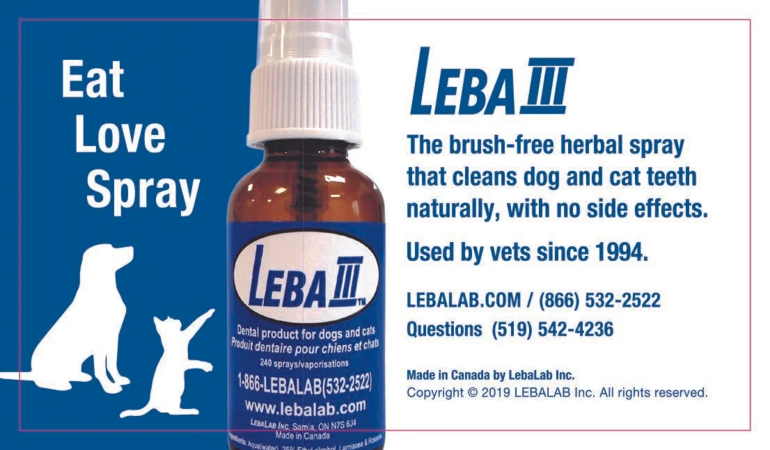 Leba III Dental Spray — shop.moderndogmagazine.com Modern Dog Shop