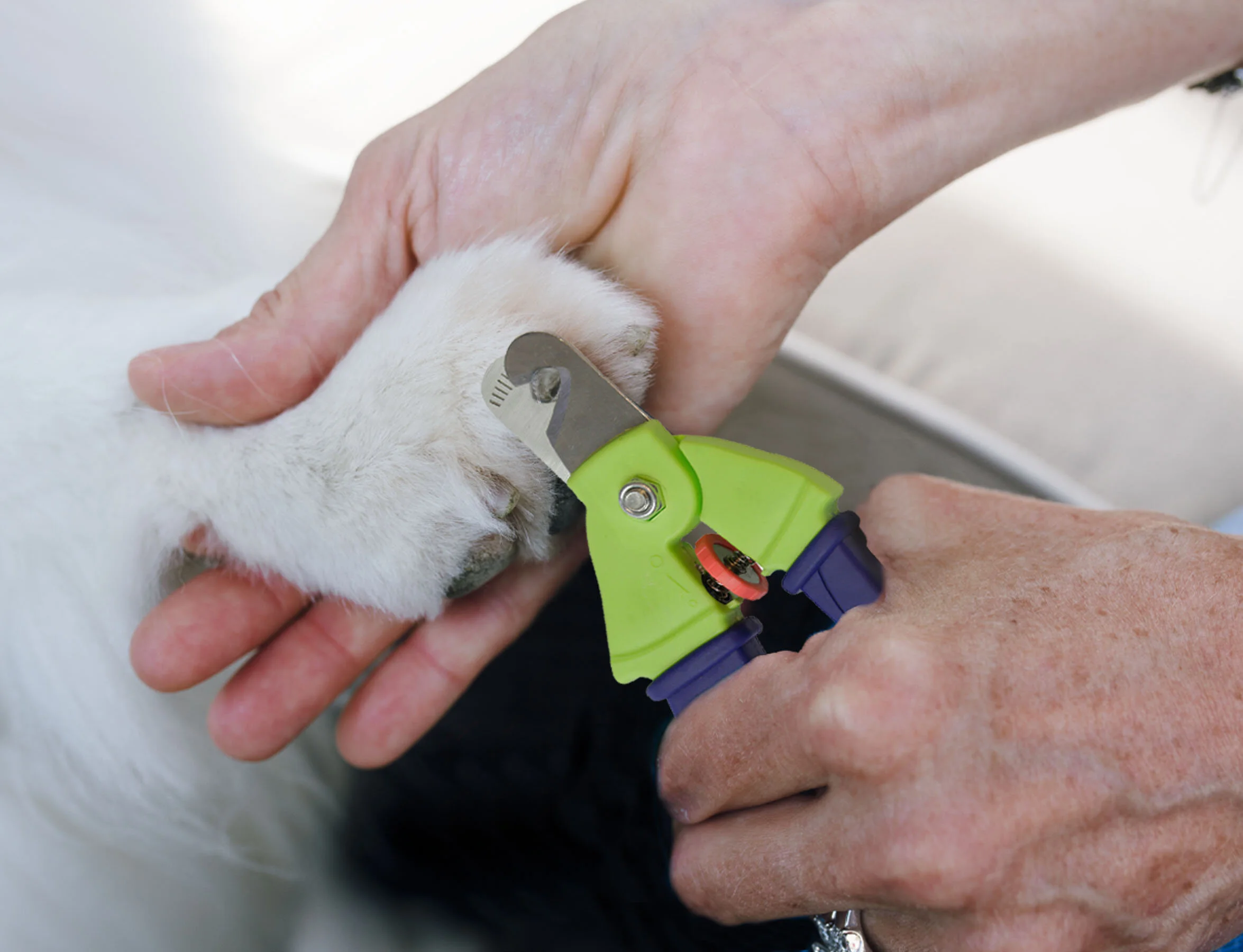 Zen Clipper Precise™ — shop.moderndogmagazine.com Modern Dog Shop