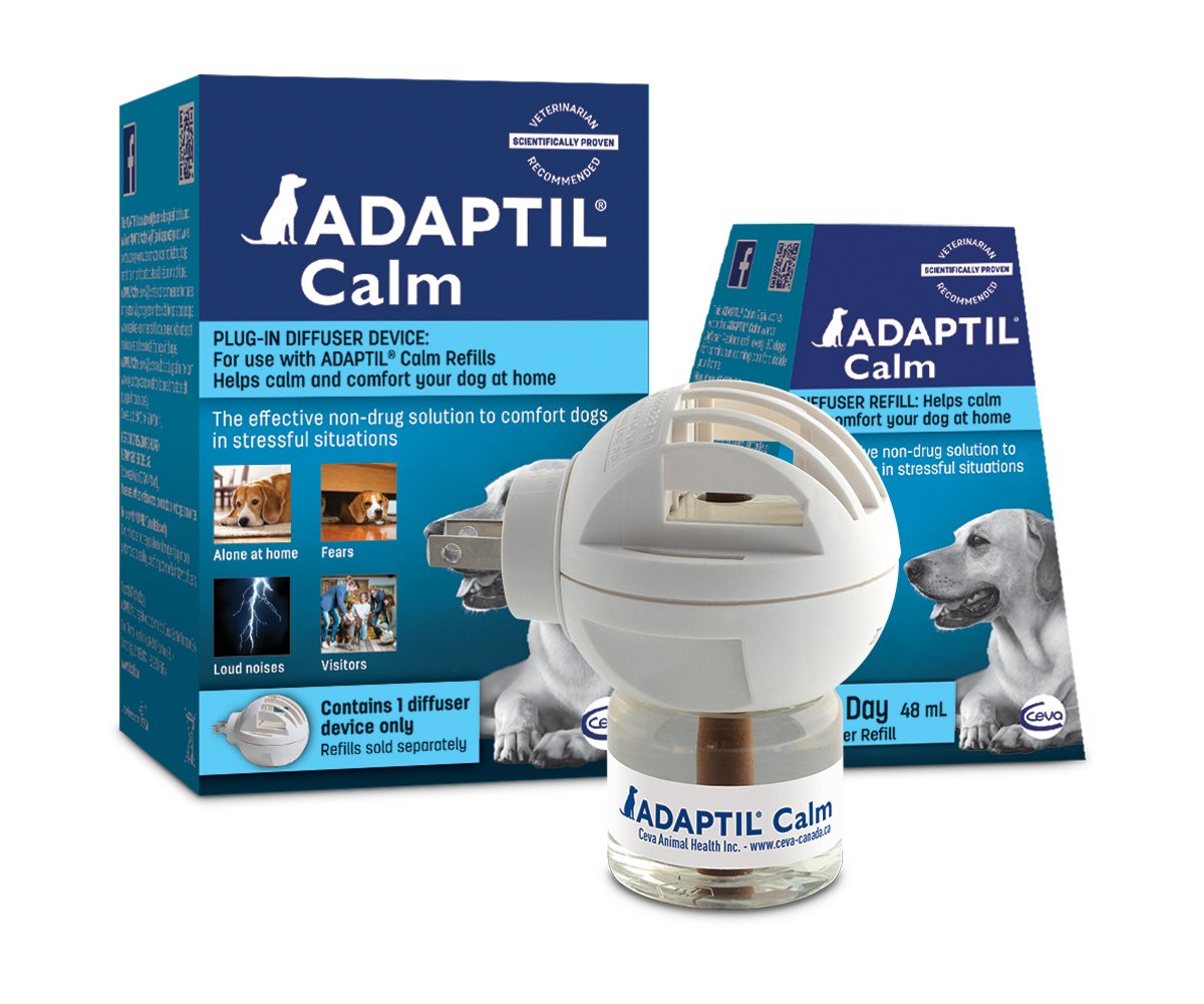 Adaptil Calming Collar — shop.moderndogmagazine.com Modern Dog Shop