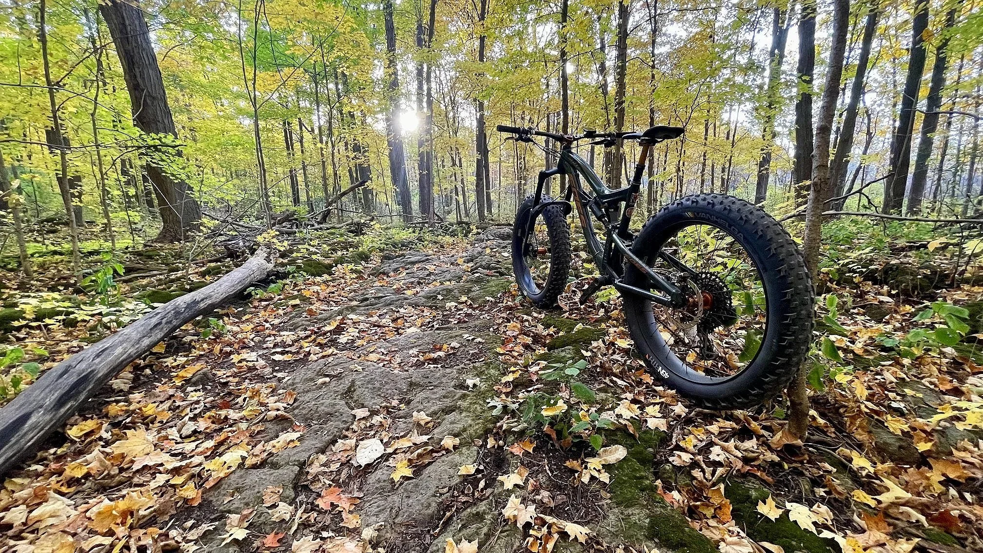 RIDEFATBIKES.ca - Canadian custom builder of FAT and MTB bikes ...
