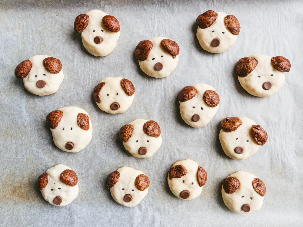 Dog Shaped Cookies for Dog Lovers | A Recipe — SOPHIA HSIN PHOTOGRAPHY