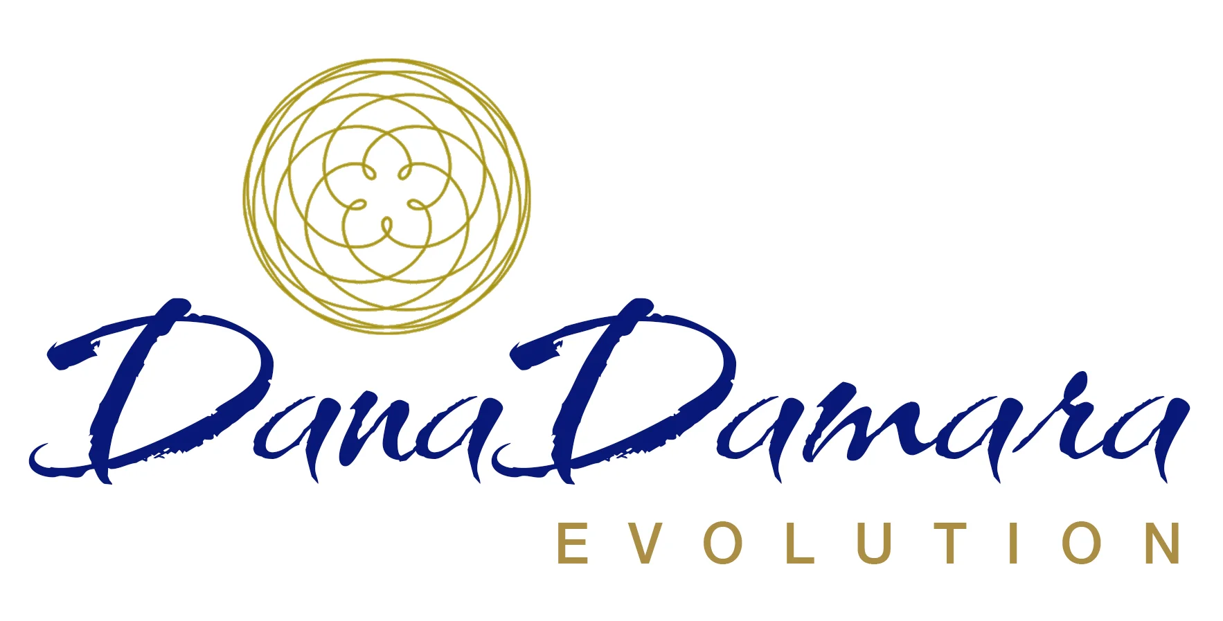 300|500hour program — Dana Damara Evolution