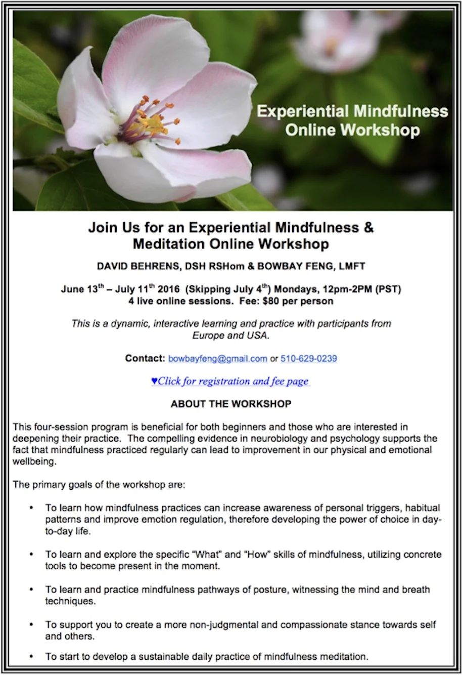 Mindfulness Workshop — Alisa Vincent Psychotherapy