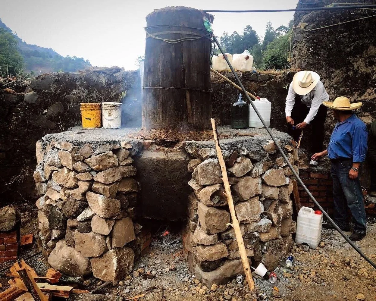 Book Now: Mexican Spirits Collection Room — Club Tengo Hambre: Food ...