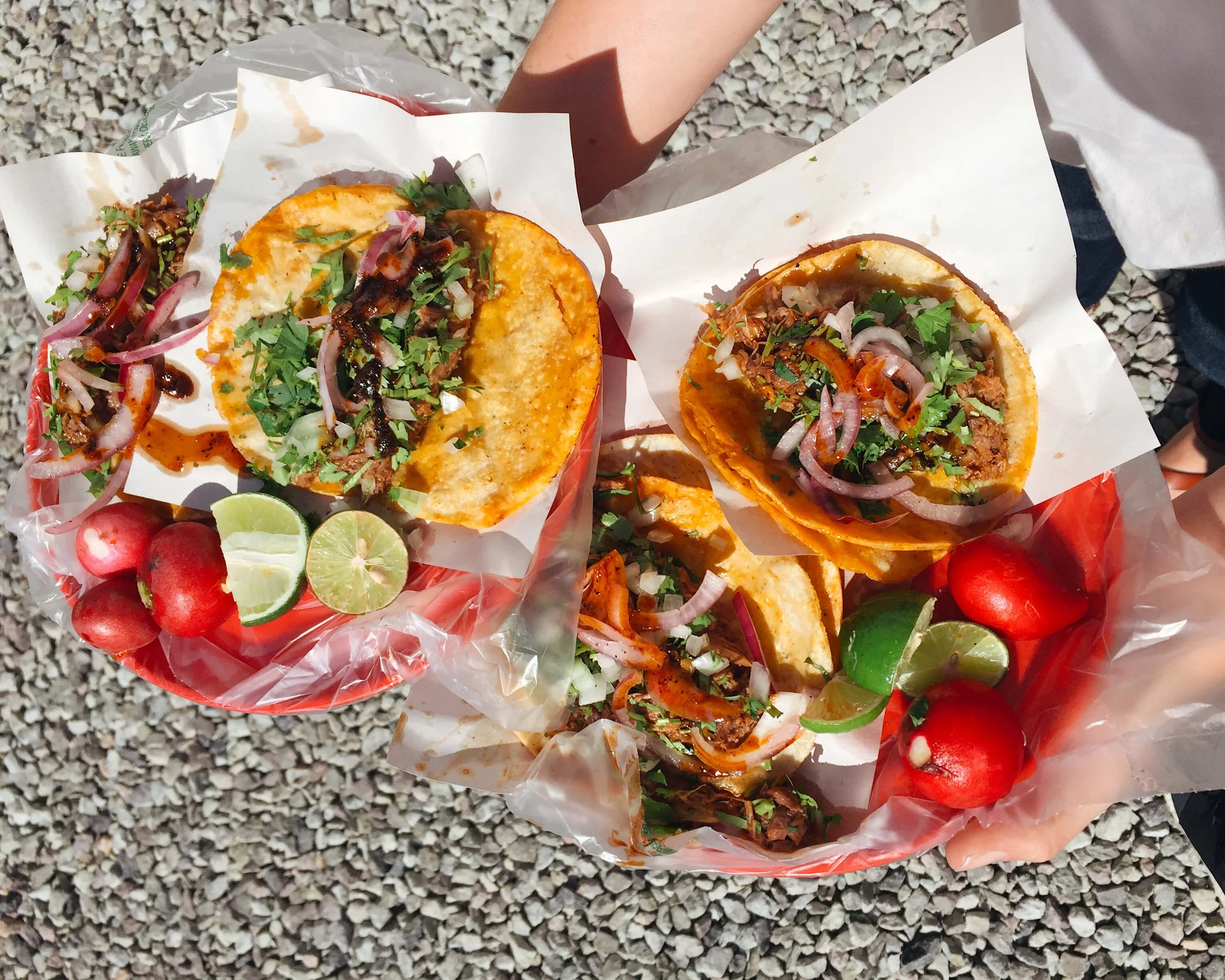 Private: Tijuana Street Food Essentials by Club Tengo Hambre — Club ...