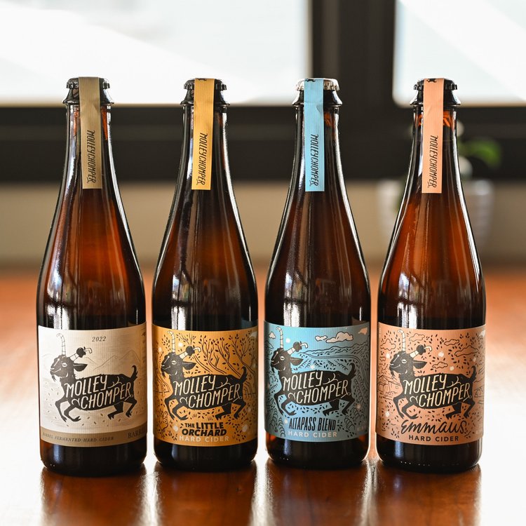 Buy Cider — Molley Chomper Cider