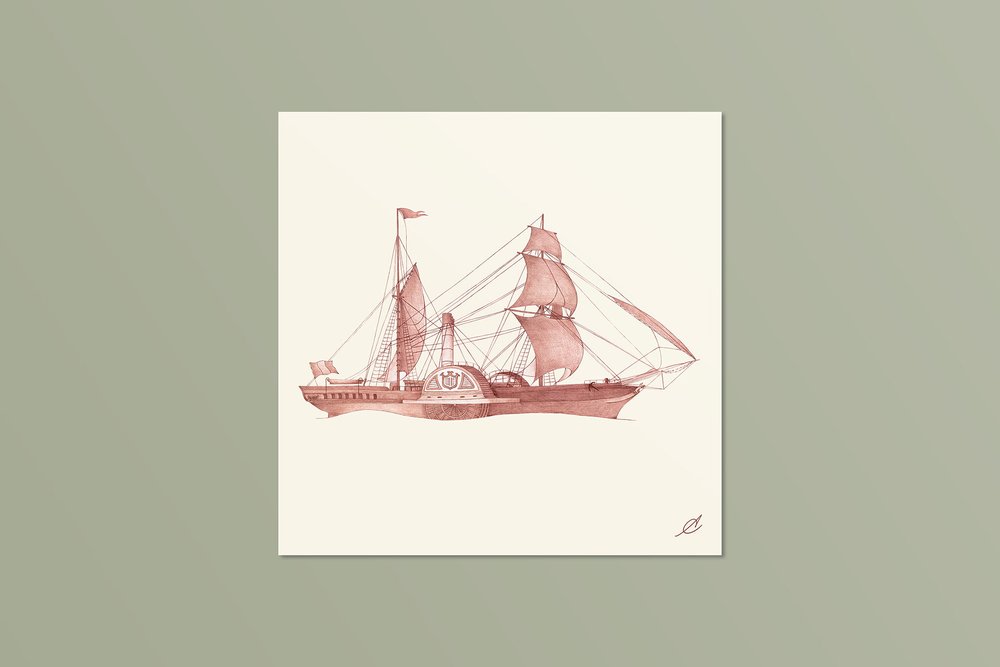 Ballpoint Illustration / SS Sirius / OneCuriousChip by Alice Claire ...
