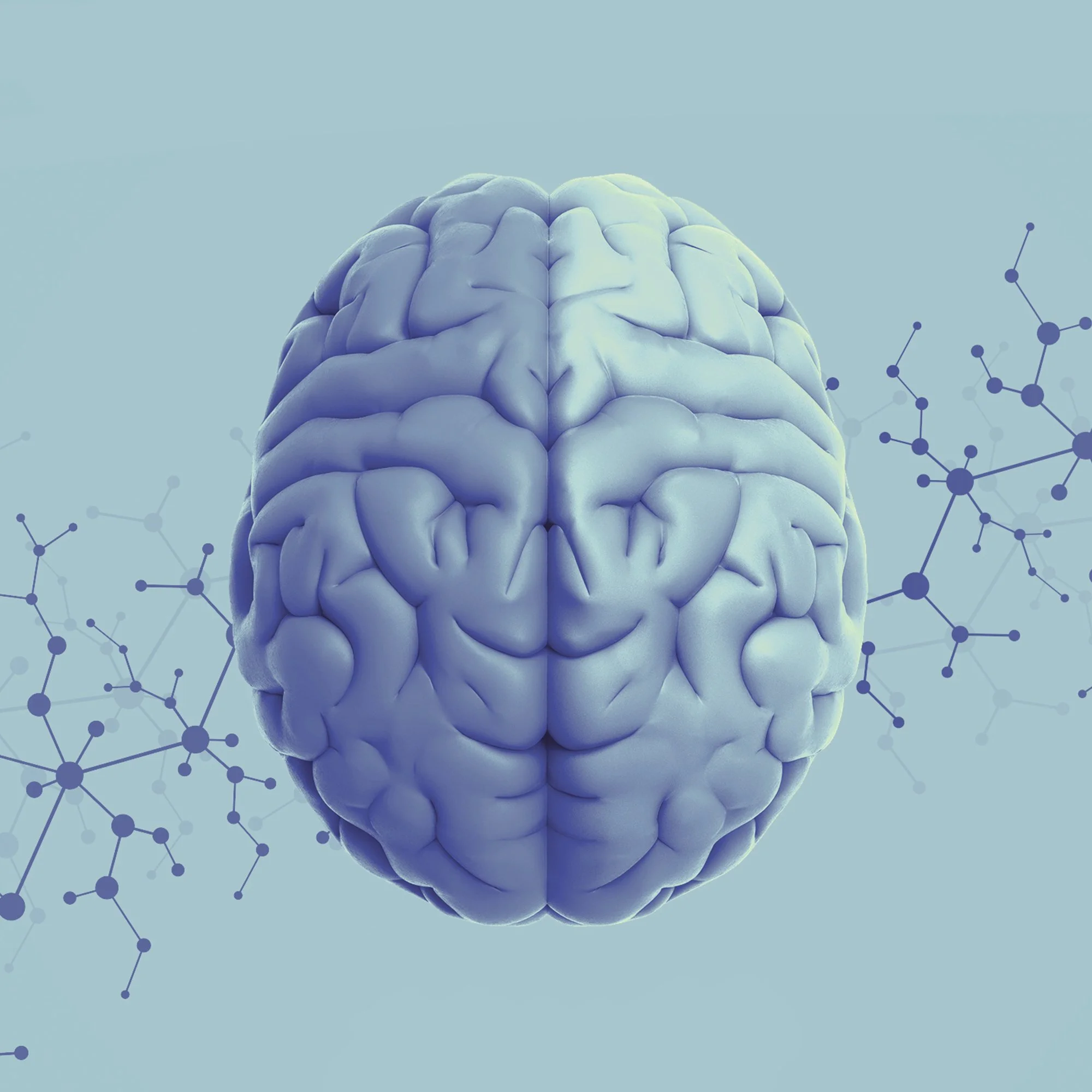 The Brain Code by Yossi Chalamish MD — One Curious Chip