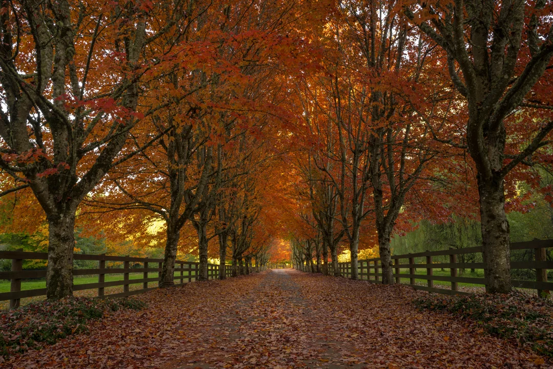 The 8 BEST places to photograph fall color in the Pacific Northwest ...