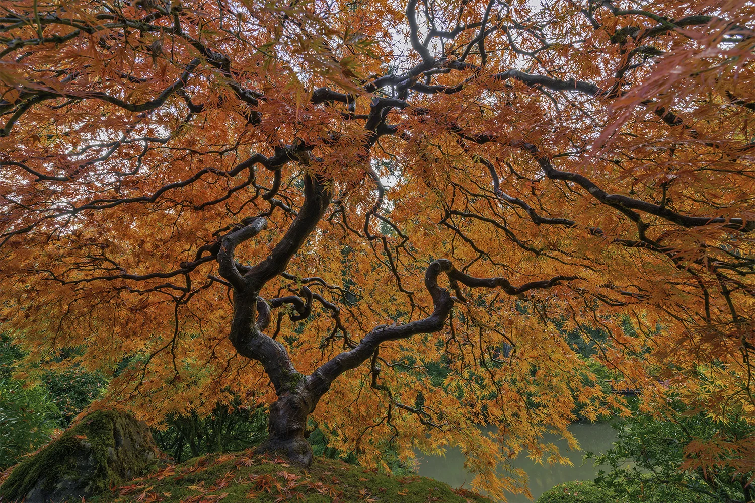 The 8 BEST places to photograph fall color in the Pacific Northwest ...