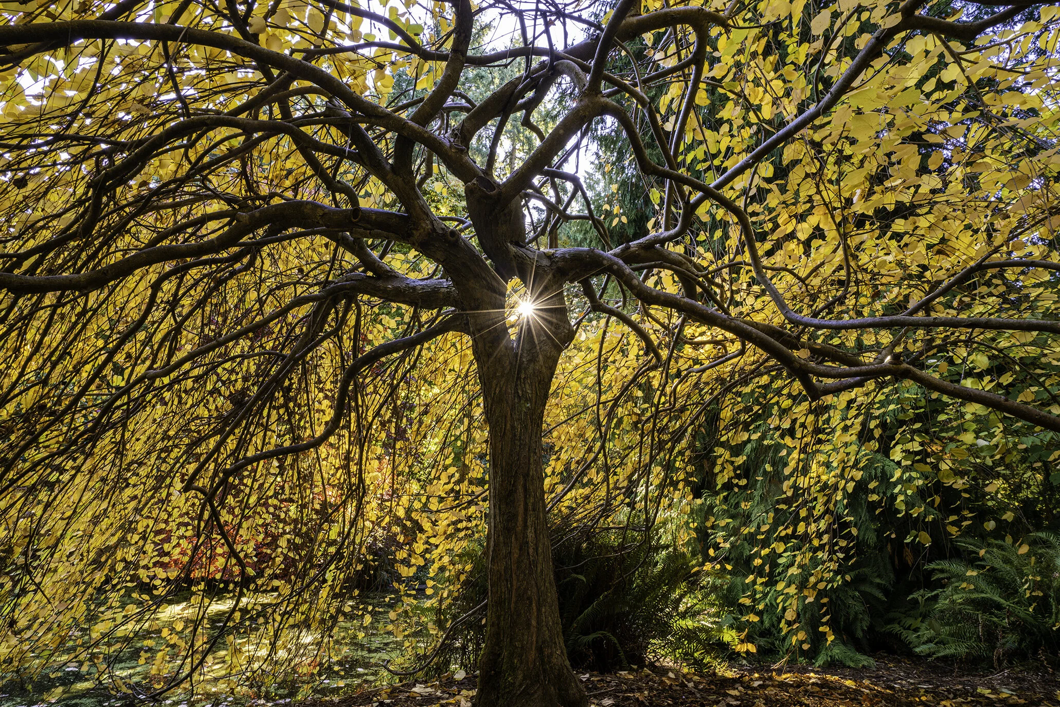 Thomas Goebel Photography— New Images