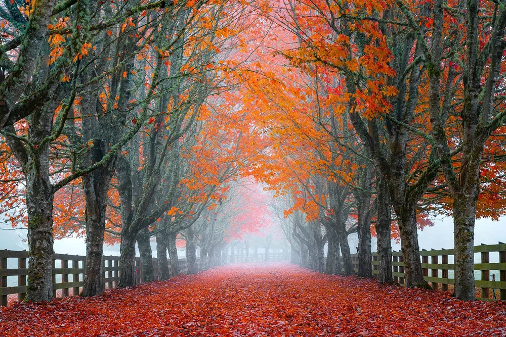 FINE ART NATURE PHOTOGRAPHY FOR SALE | Fine Art Landscape and Nature ...