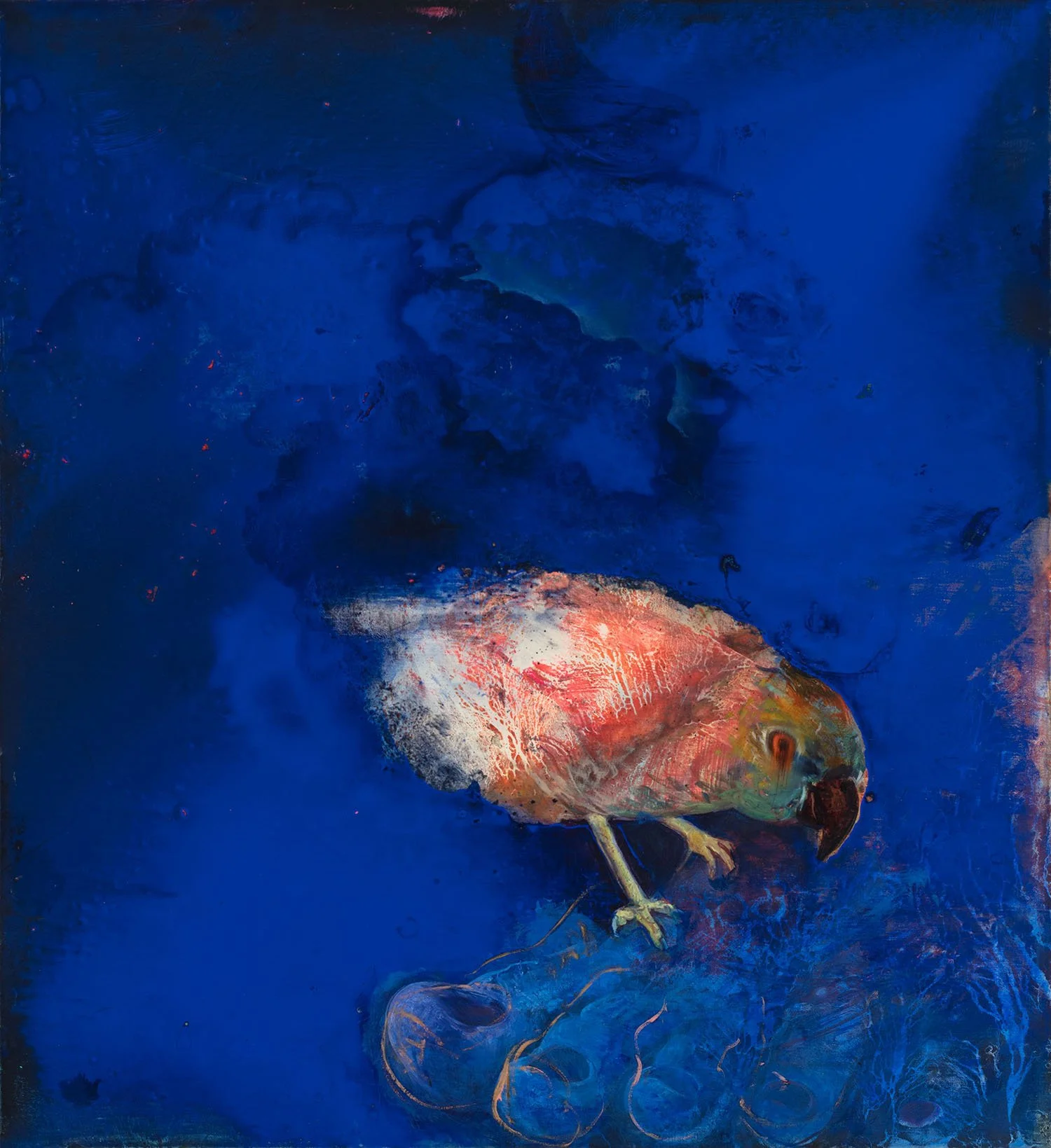 Barbara Friedman — Smaller Paintings 2020-Present