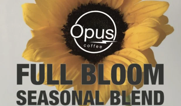 Small Batch Roasted Coffee — Opus Coffee