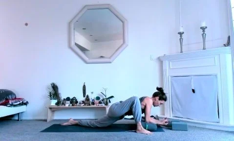 All Online Classes — VIVEKA YOGA + AYURVEDA