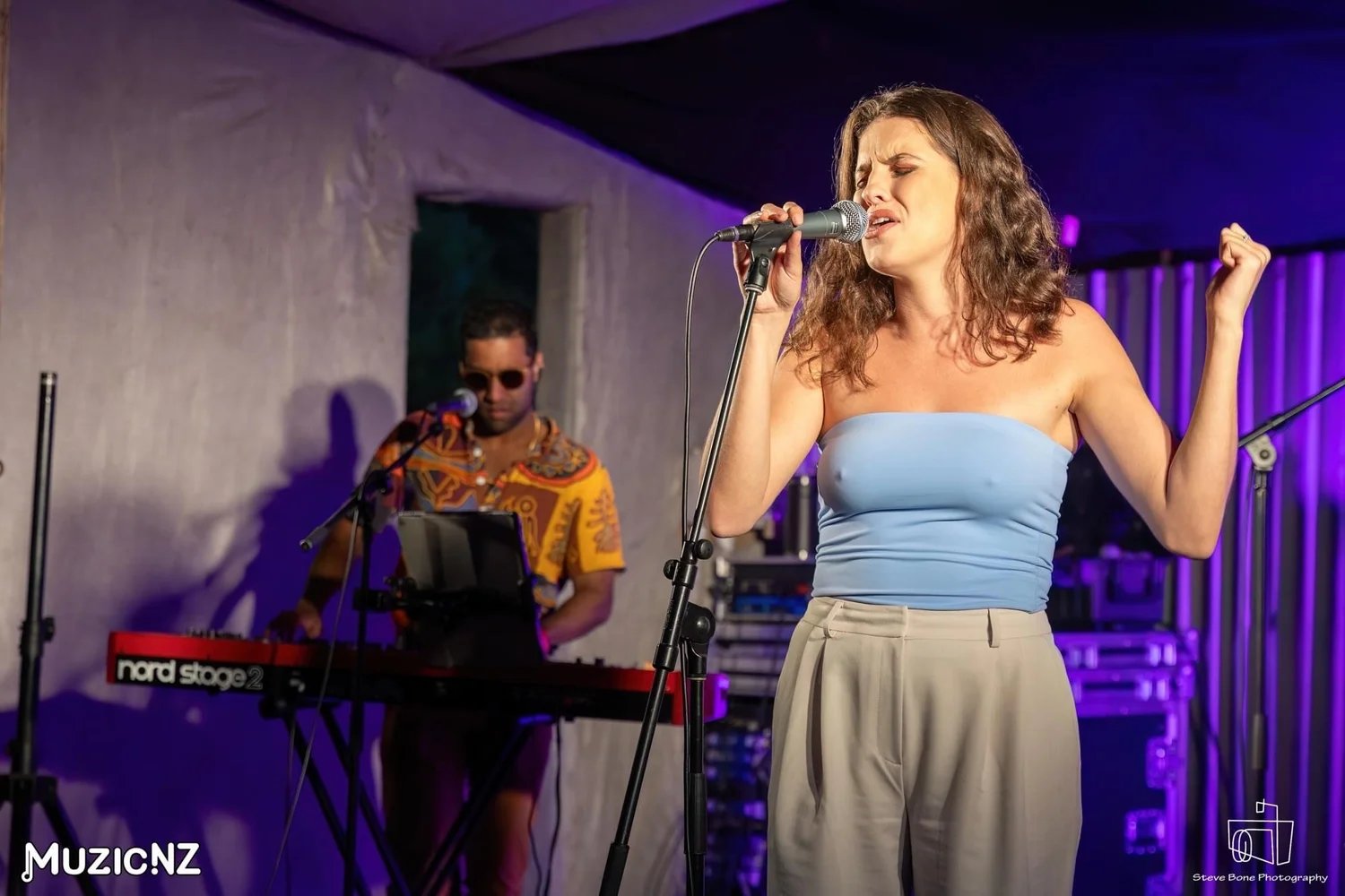 Jazz Concerts at the Club — Auckland Jazz and Blues Club