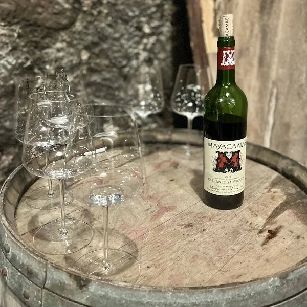 Benchmark Producers to Start Your Wine Collection — K&L Wines On the Trail Blog