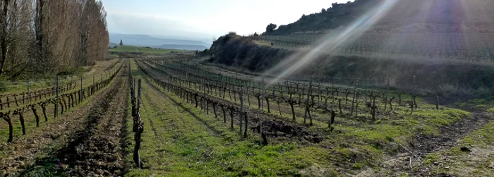 Rioja Vintage Guide - K&L Wines On the Trail Blog