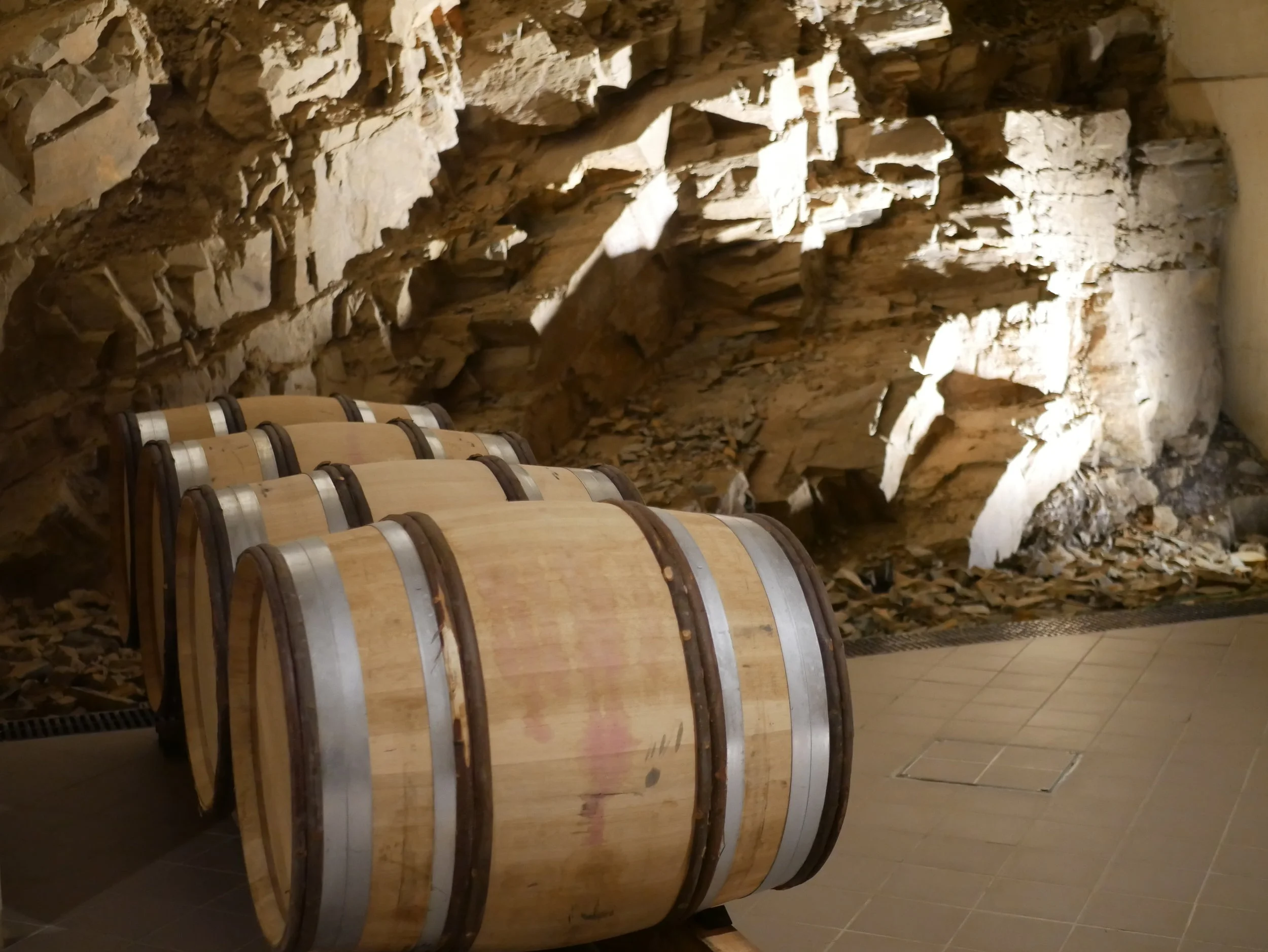 Pilgrimage to Bierzo — K&L Wines On the Trail Blog