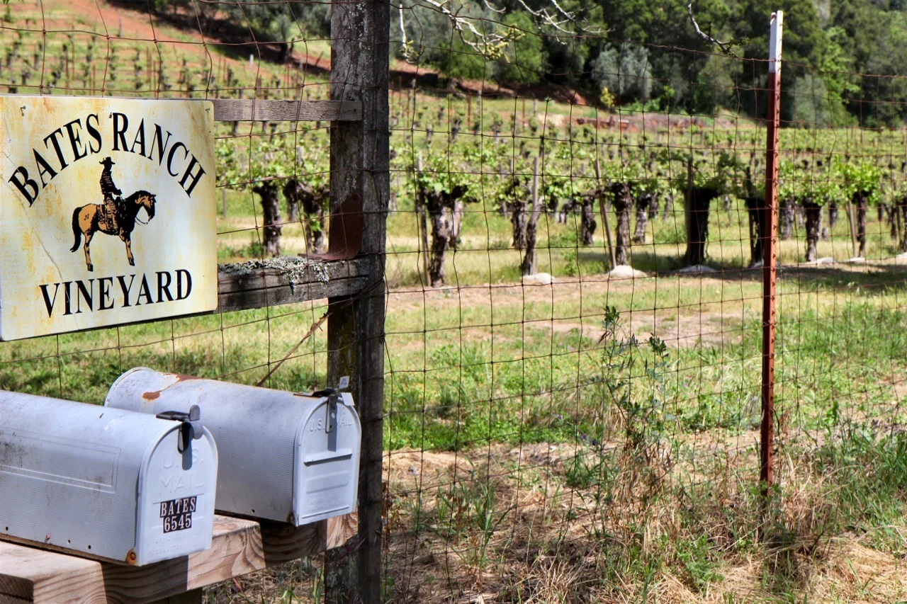 A Conversation with Ian Brand, Winemaker & Owner of I. Brand & Family ...