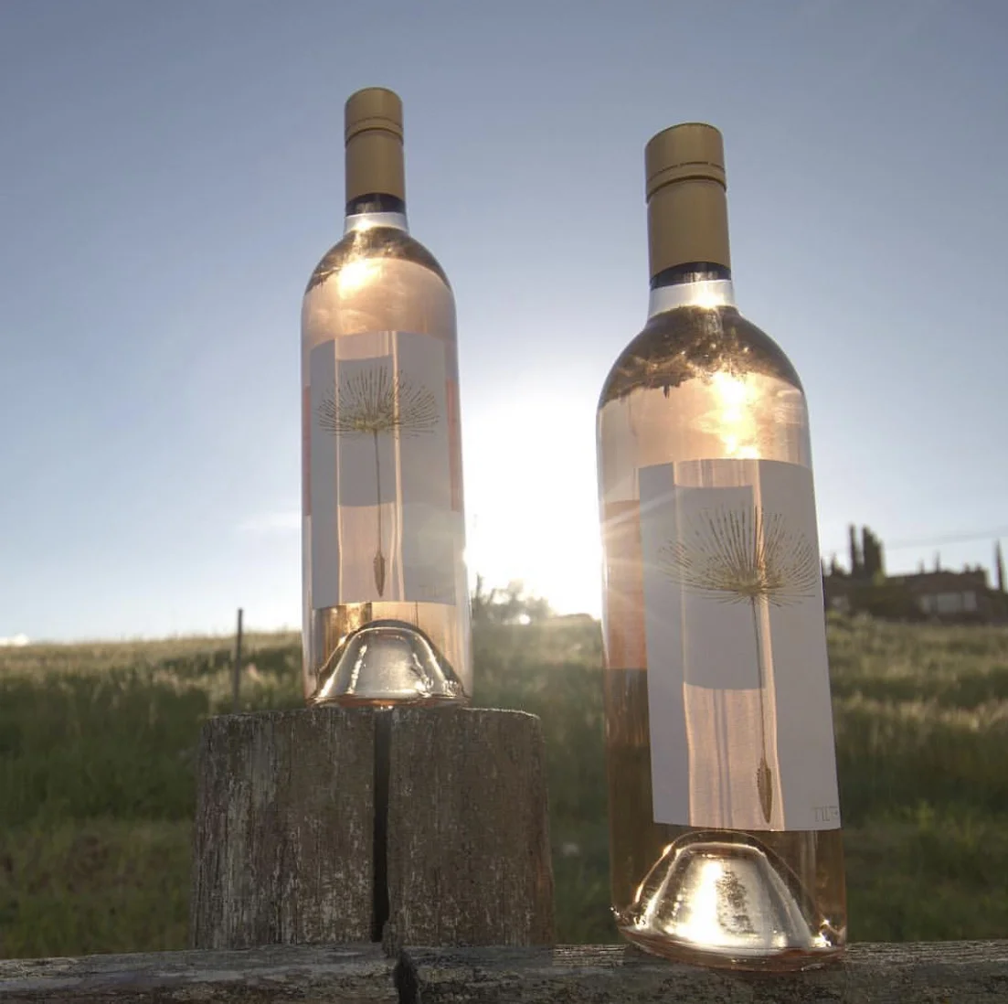 An Interview with Jason Driscoll, Winemaker of Tilth Wines — K&L Wines ...