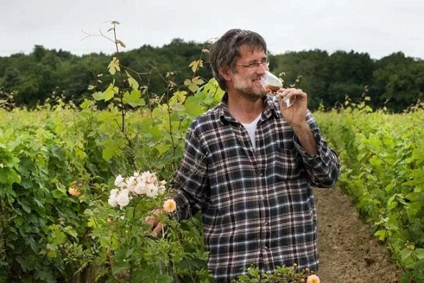 The Loire's Patrice Colin Is Producing Magical Pineau d'Aunis — K&L ...