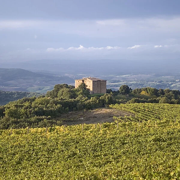 The Art of Brunello from Castello Romitorio — K&L Wines On the Trail Blog