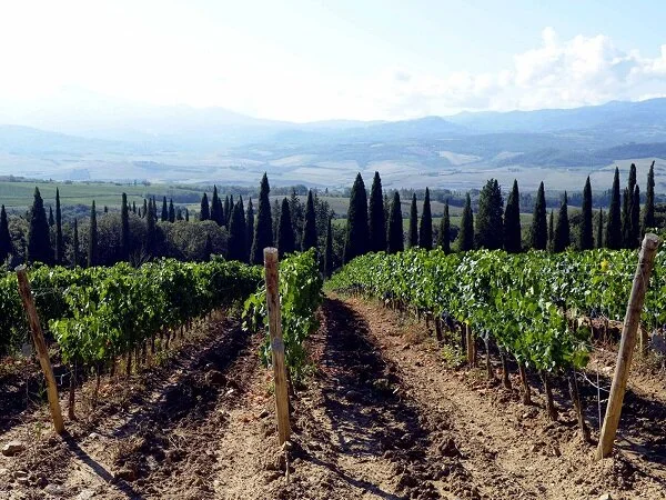 100-Point Brunello from One of Italy's Best Winemakers — K&L Wines On ...