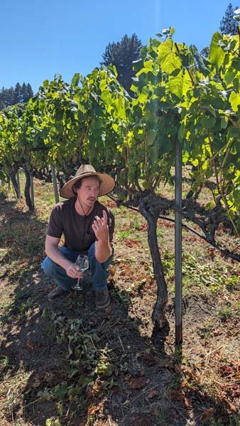 Small-Production Wines in Santa Cruz: Alfaro Family Vineyards and Farm ...