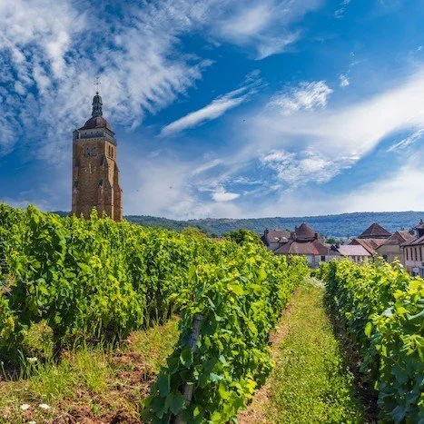 Burgundy Vintage Guide - K&L Wines On the Trail Blog