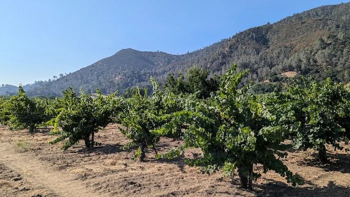 STiRM: Minimal Intervention, Maximum Value — K&L Wines On the Trail