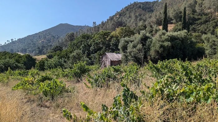 STiRM: Minimal Intervention, Maximum Value — K&L Wines On the Trail