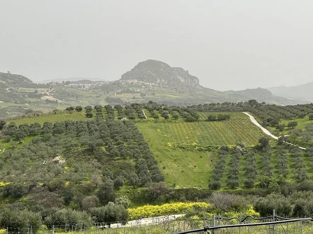 White Hot Greek White Wines — K&L Wines On the Trail