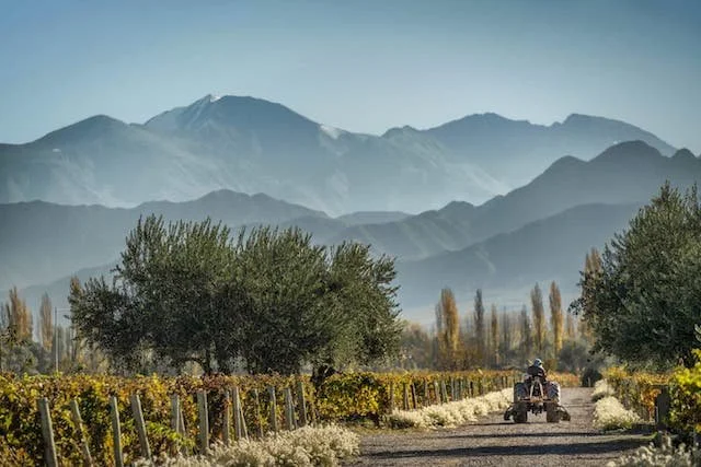 High-Altitude Bordeaux Blends from South America — K&L Wines On the Trail