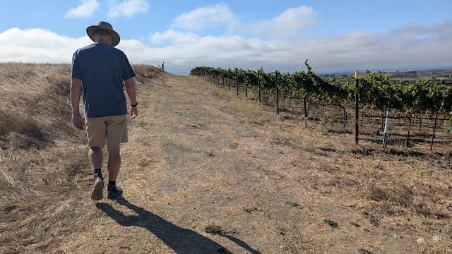 Breakfast Wines with Steve Matthiasson — K&L Wines On the Trail Blog