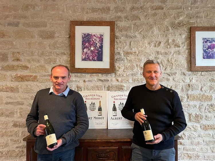 Domaine Albert Morot's Seductive 2021 Beaunes — K&L Wines On the Trail