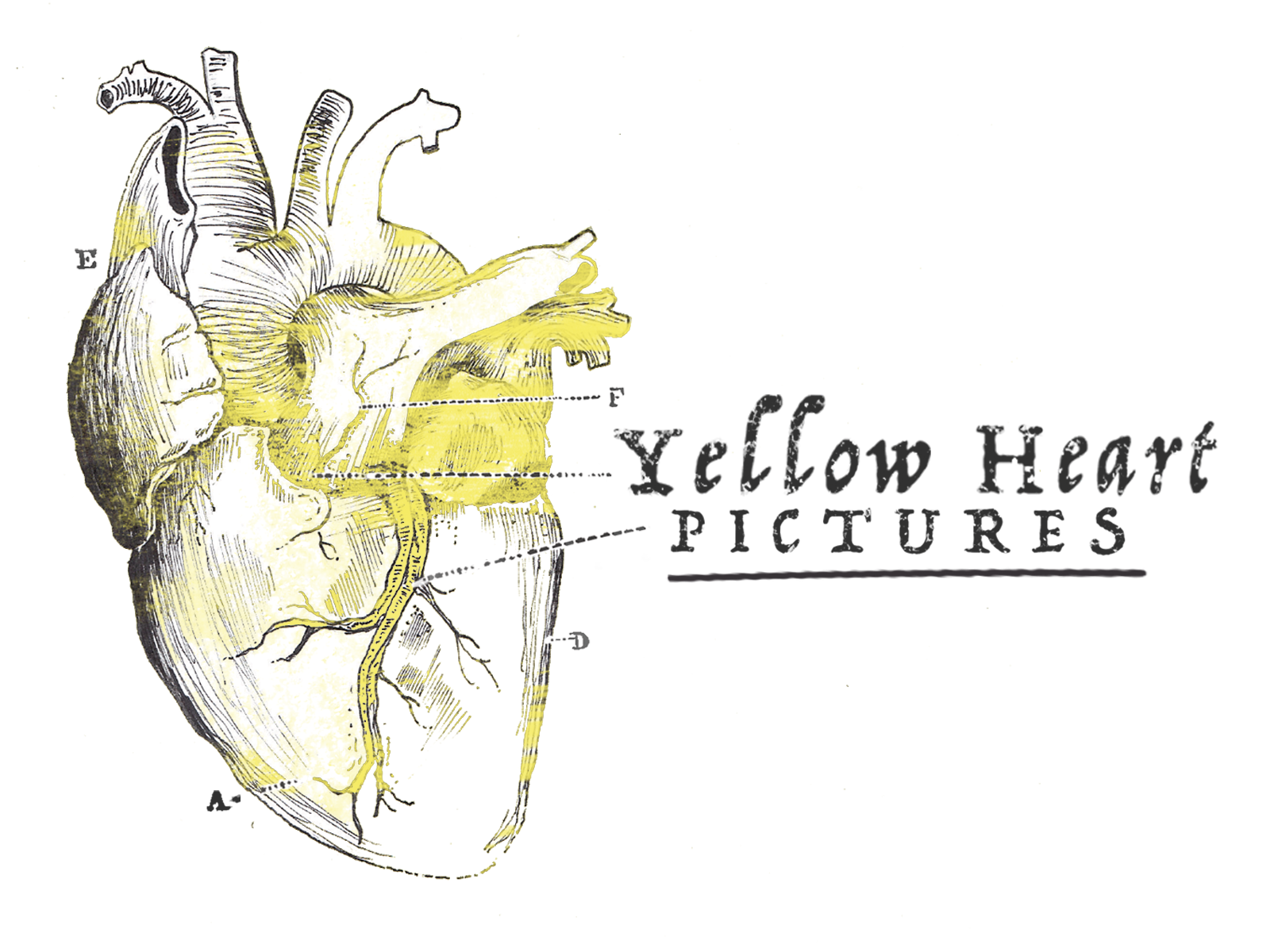 Yellow Heart
