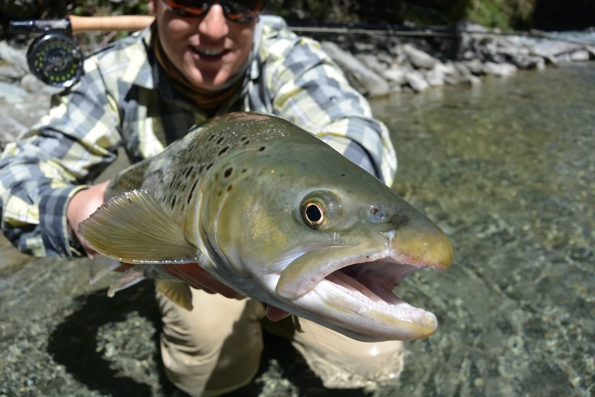 The Council of Victorian Fly Fishing Clubs