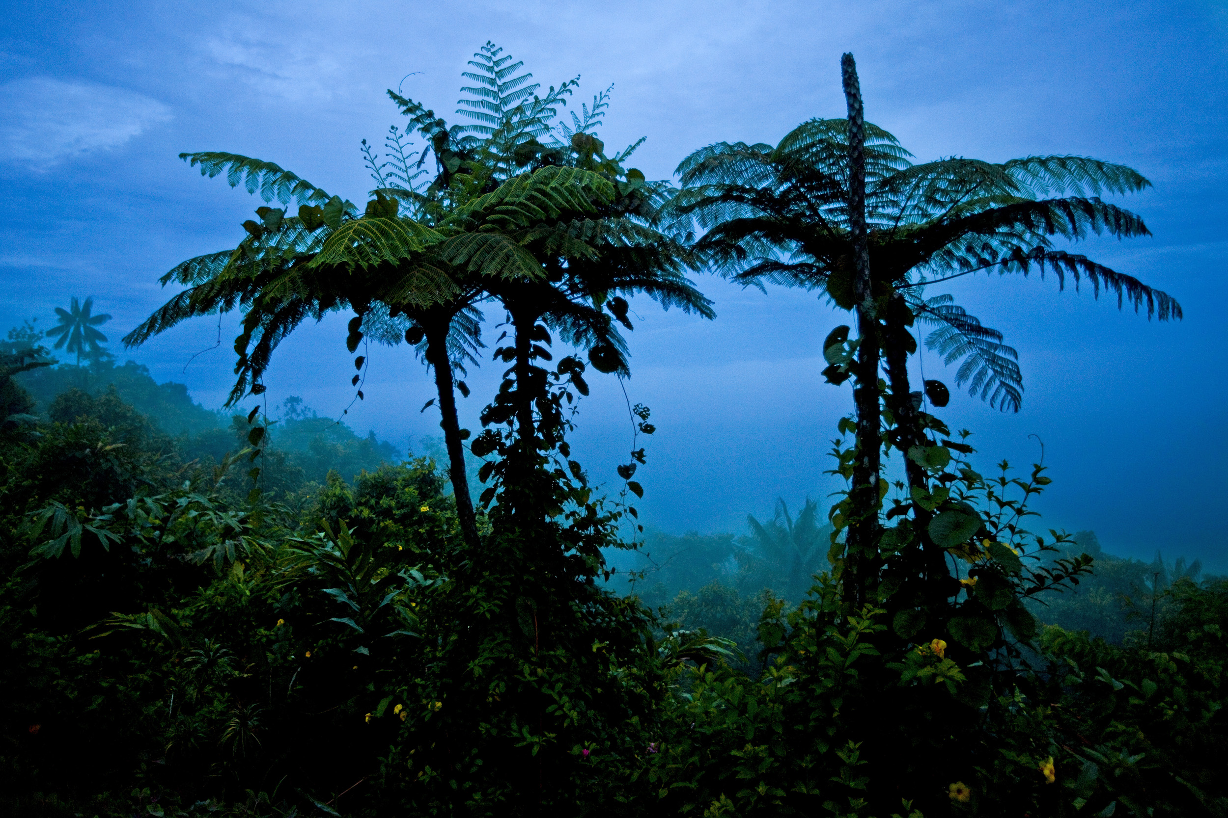 Papua New Guinea - Culture in Transition — Brent Stirton