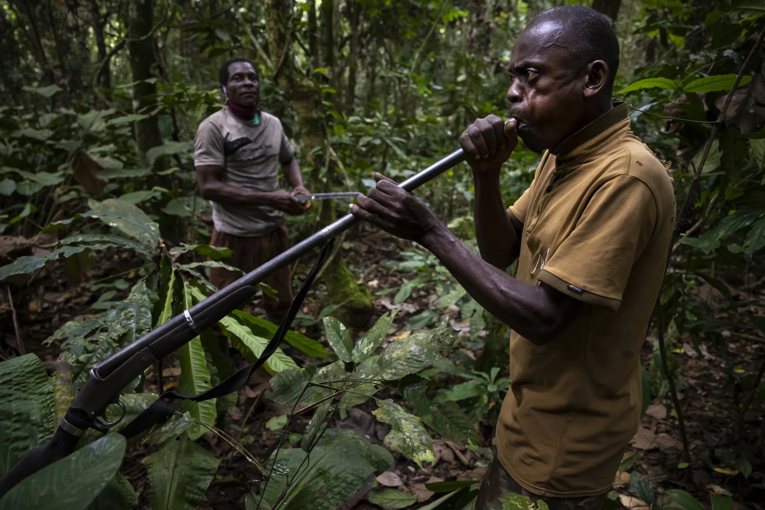 Bushmeat - commerce, conservation and disease — Brent Stirton