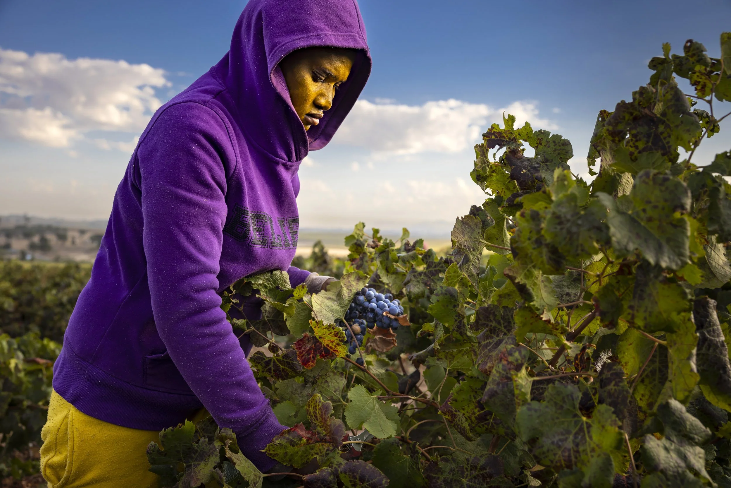 Coloured Nation - 30 years of democracy South Africa — Brent Stirton