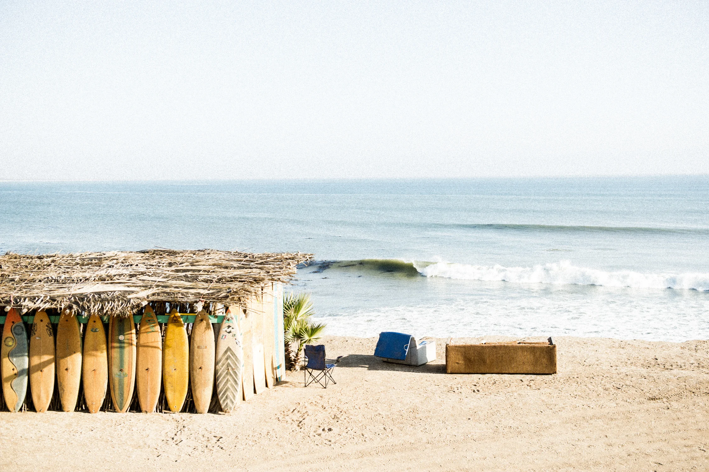 TCSS Snake Trails – Peppermayo