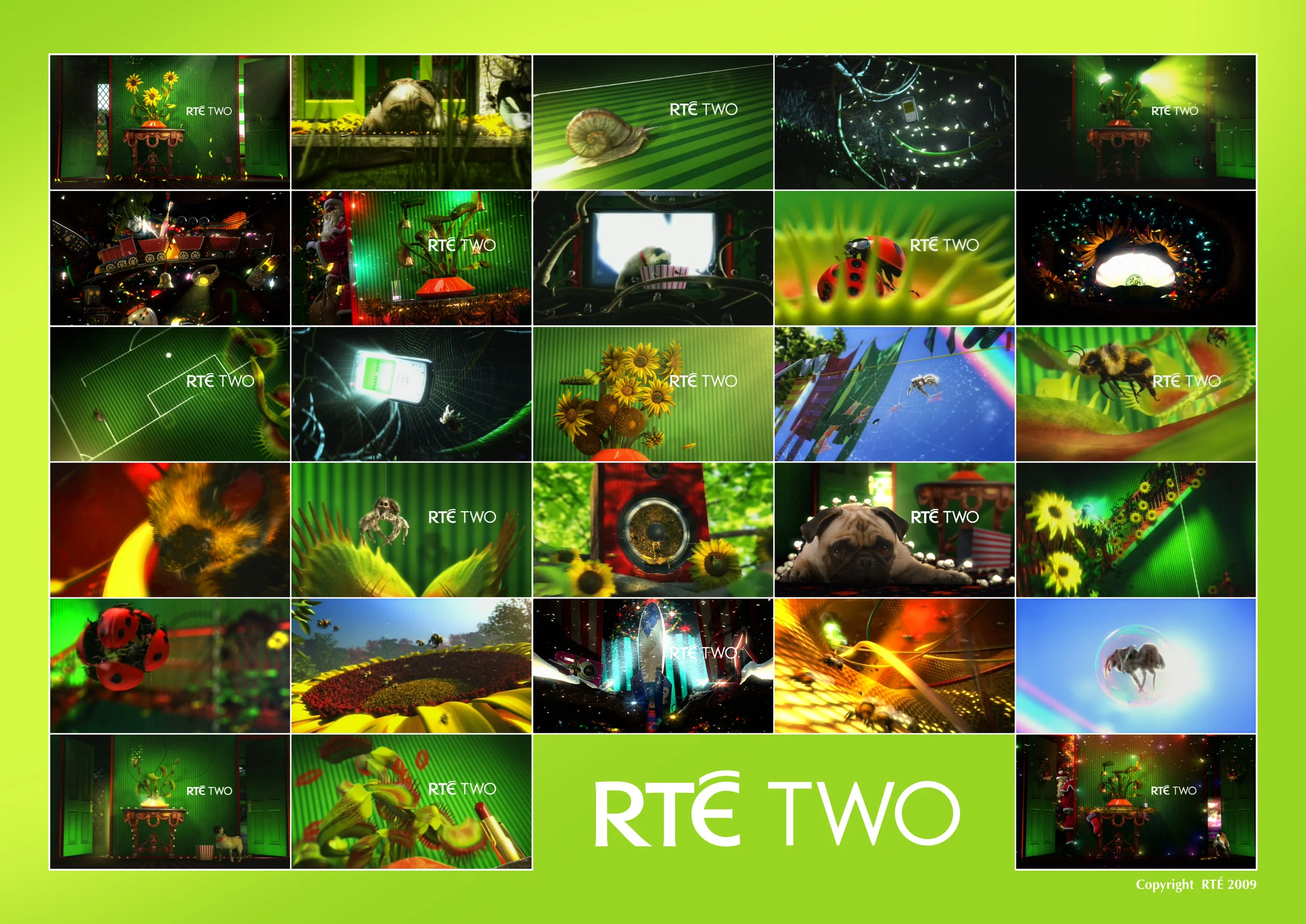 Art Direction: RTÉ TWO — Ultan Courtney