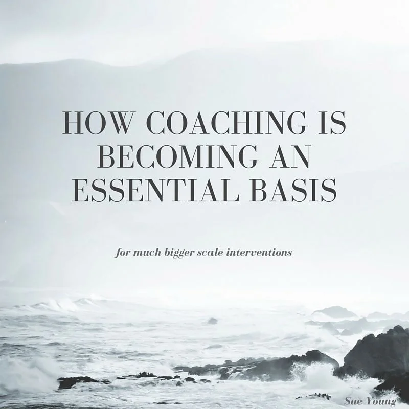 How Coaching is becoming an essential basis for much bigger scale ...
