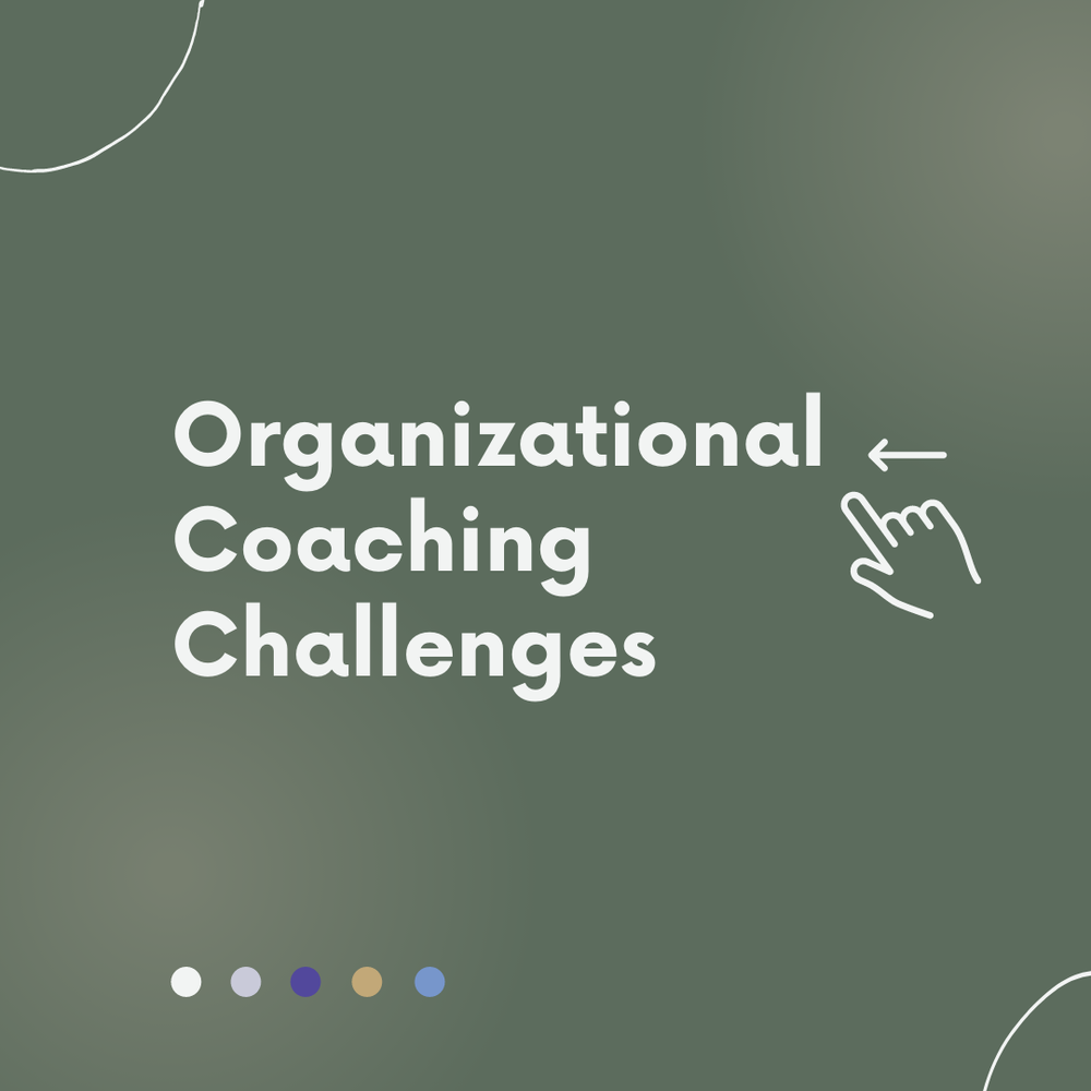 The Organisational Leadership Journey - into Chaos! (part 1) by Isobel ...